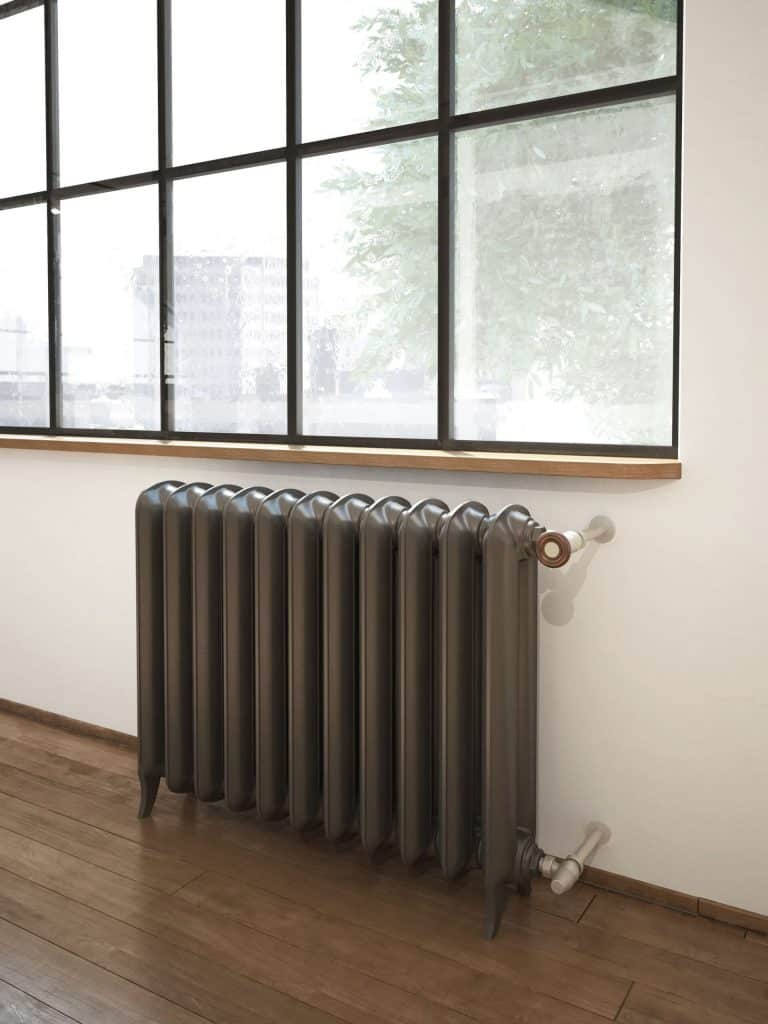 Timeless Terma Plain 2 Cast Iron Traditional Radiator